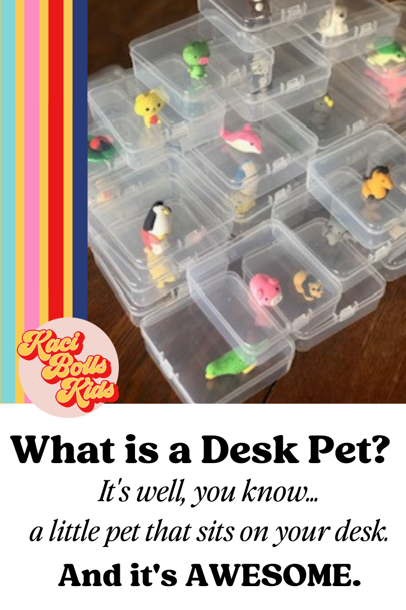 What Is a Desk Pet? How Are These Adorable Little Things Successful ...